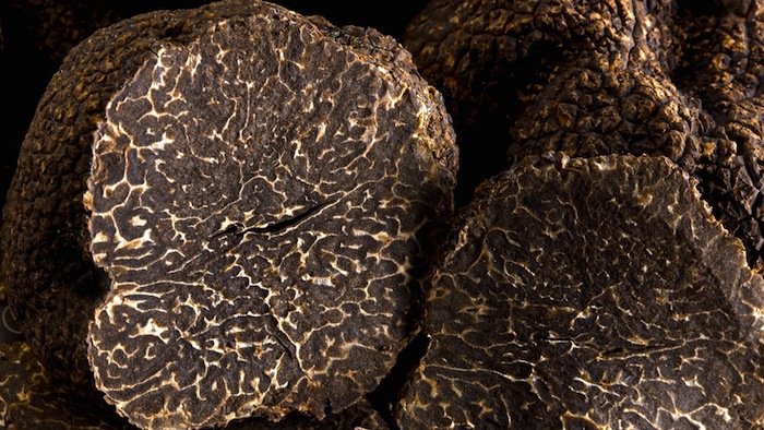 La truffe melanosporum ? Quelle veine ! - Mikuy - l'Entremetteuse Culinaire