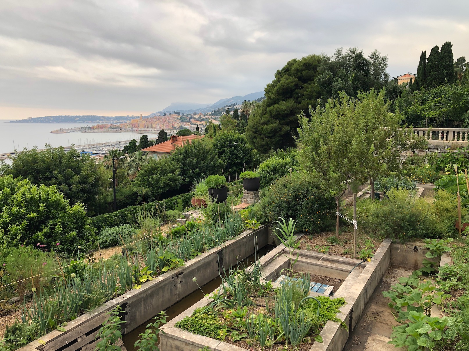 Le potager de Mauro Colagreco***, meilleur chef du monde - Mikuy - l ...