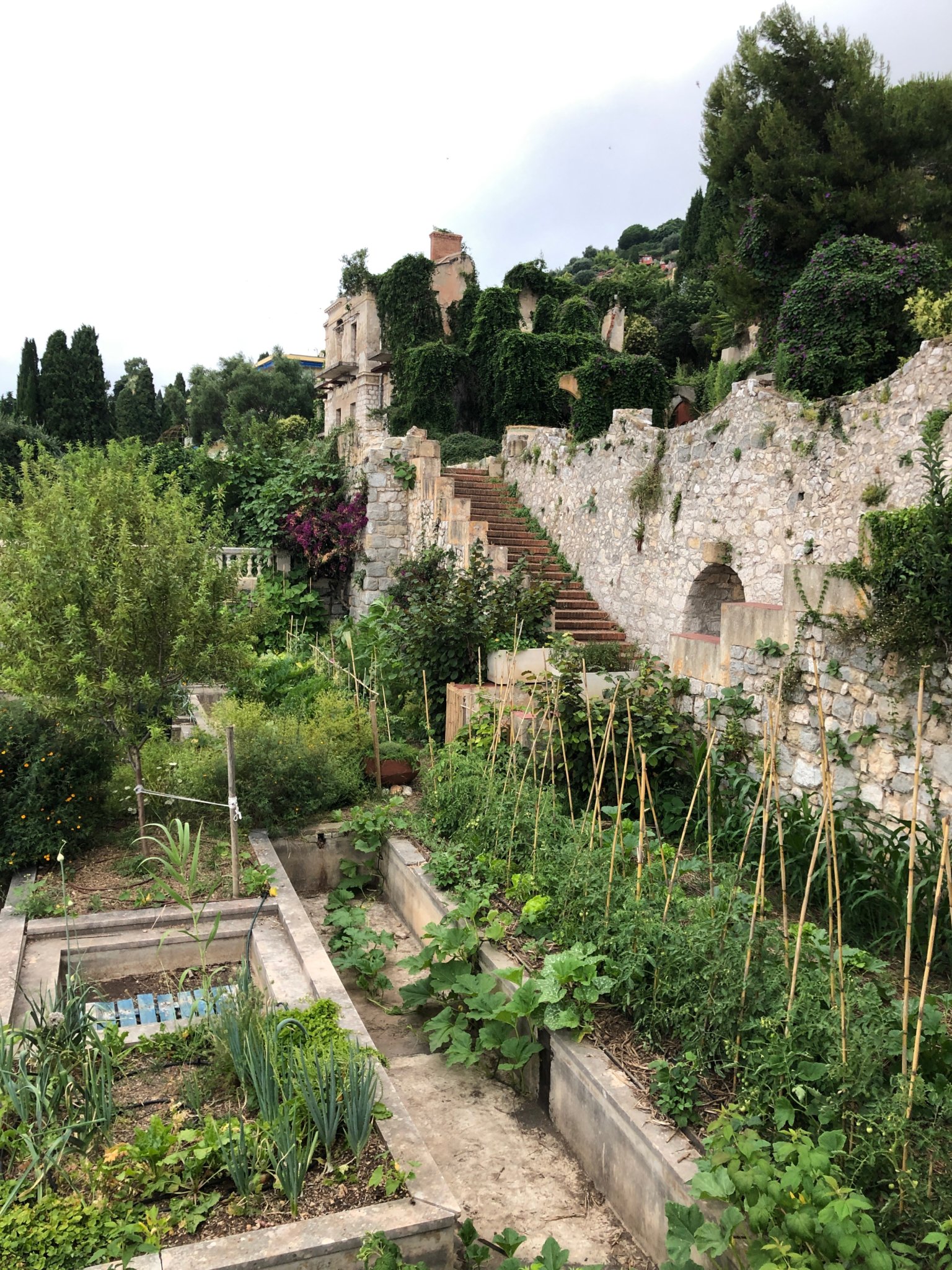 Le potager de Mauro Colagreco***, meilleur chef du monde - Mikuy - l ...